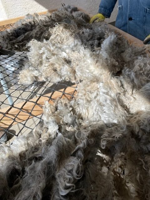 Paddington – St. Mary Meade Farm